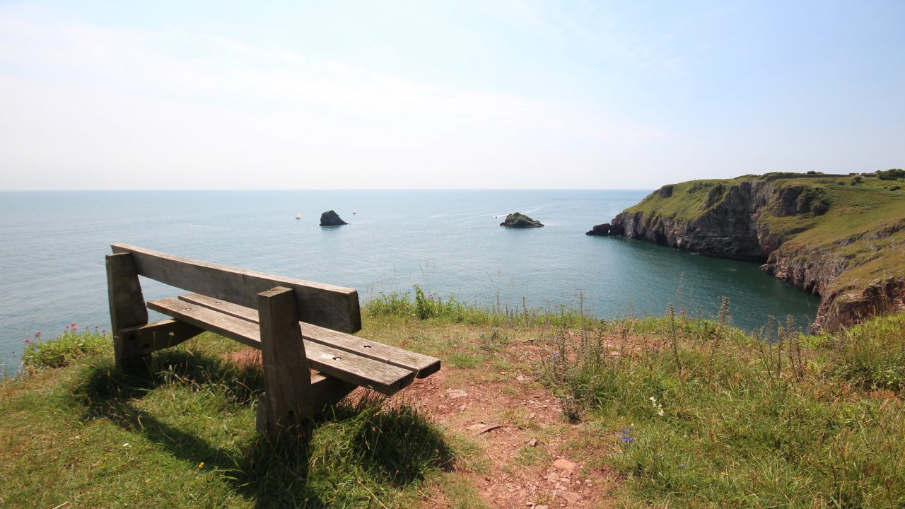 Discover the Wonders of Berry Head | Beverley Holidays