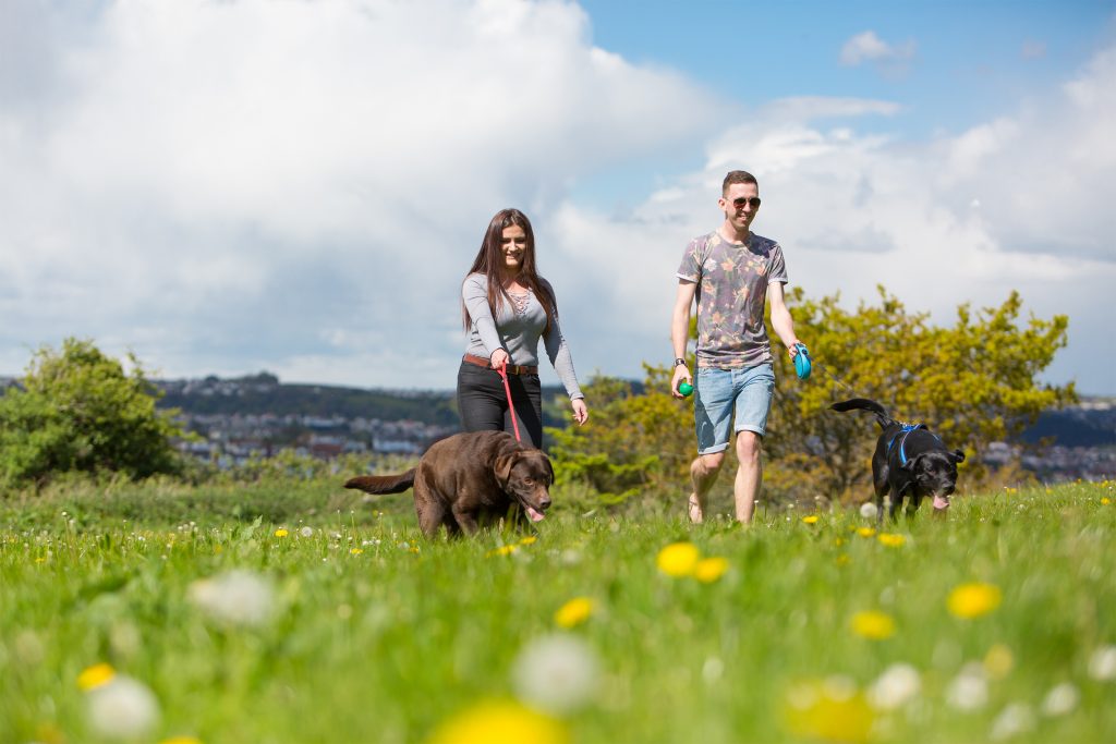Top 5 Dog Friendly Places To Go