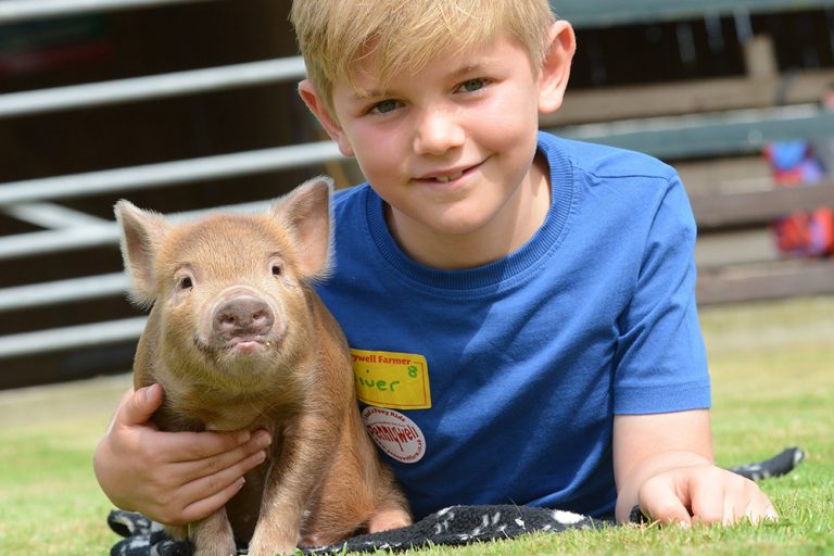 Pennywell Farm - Childrens Visitor Attraction - Devon