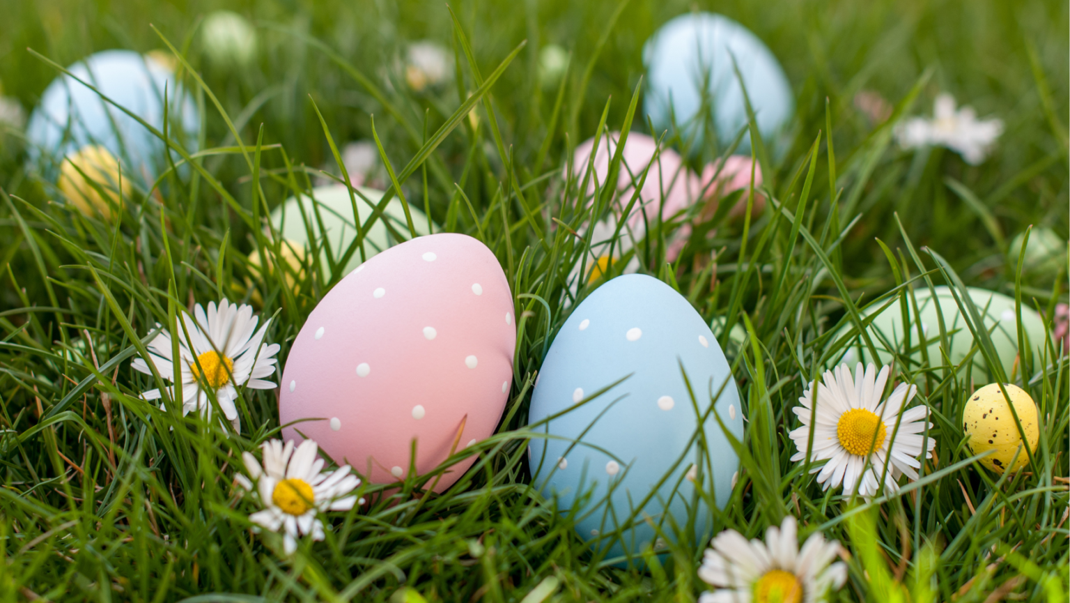 Easter in Torquay & Paignton | Beverley Holidays