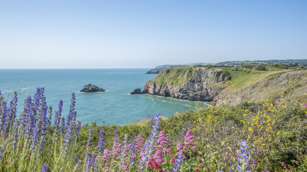 Discover the Wonders of Berry Head | Beverley Holidays