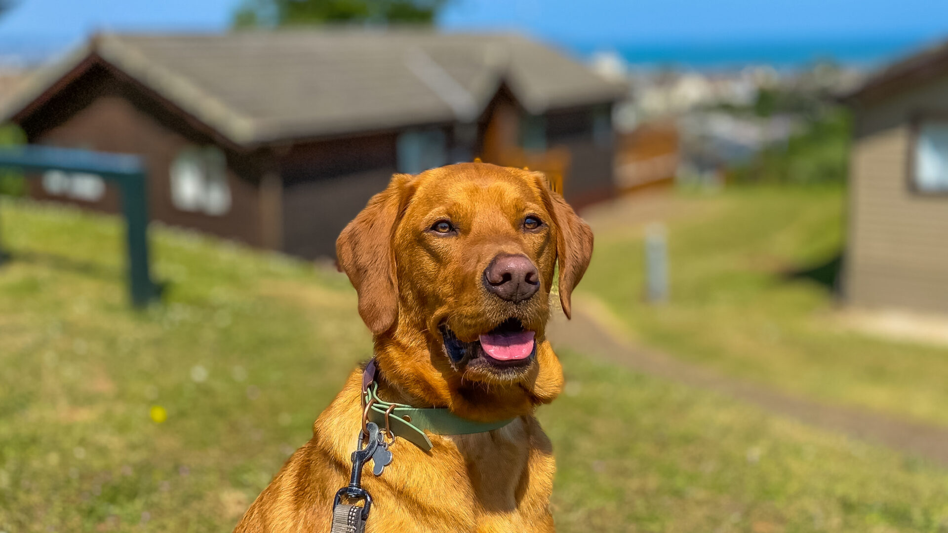 Dog-friendly Holiday Lodges In Devon - Beverley Holidays