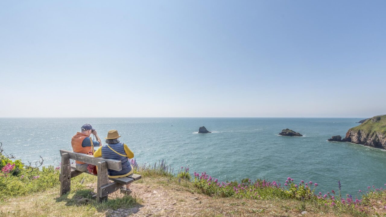 Discover the Wonders of Berry Head | Beverley Holidays