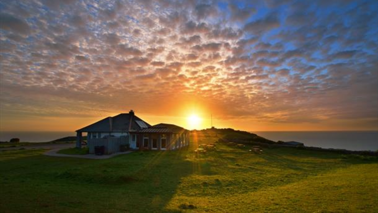 Discover the Wonders of Berry Head | Beverley Holidays