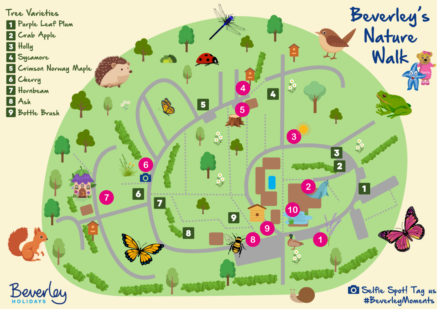 Local Walks | Beverley Holidays